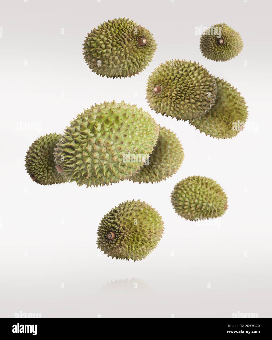 Whole ripe durians falling on white background Stock Photo - Alamy
