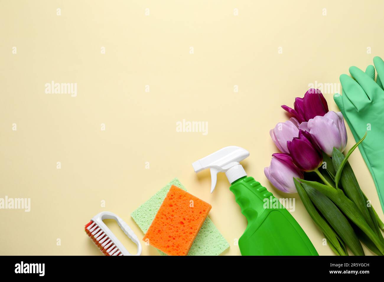Spring cleaning. Detergent, flowers, brush, sponge and rag on beige ...