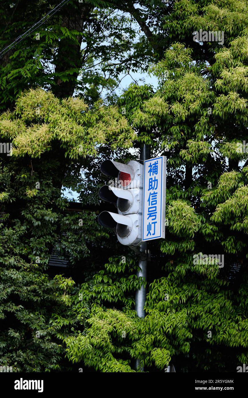 traffic light hidden behind the trees Stock Photo - Alamy