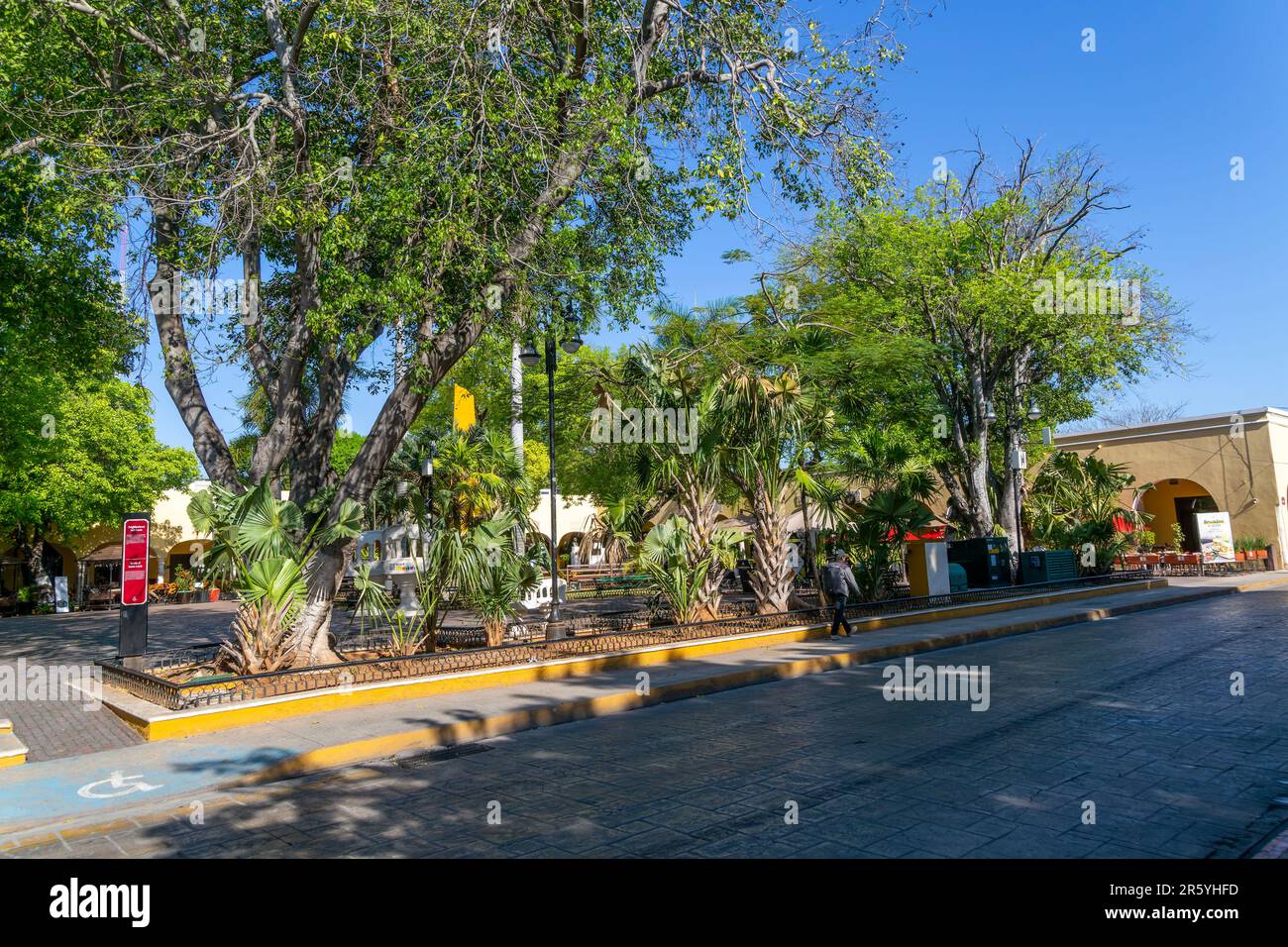 Trees in park square of Parque Santa Lucia, Merida, Yucatan State ...