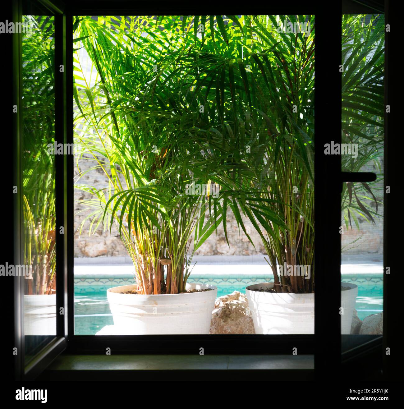Window view of tropical pot plants and Acqua Bocca hotel swimming pool ...