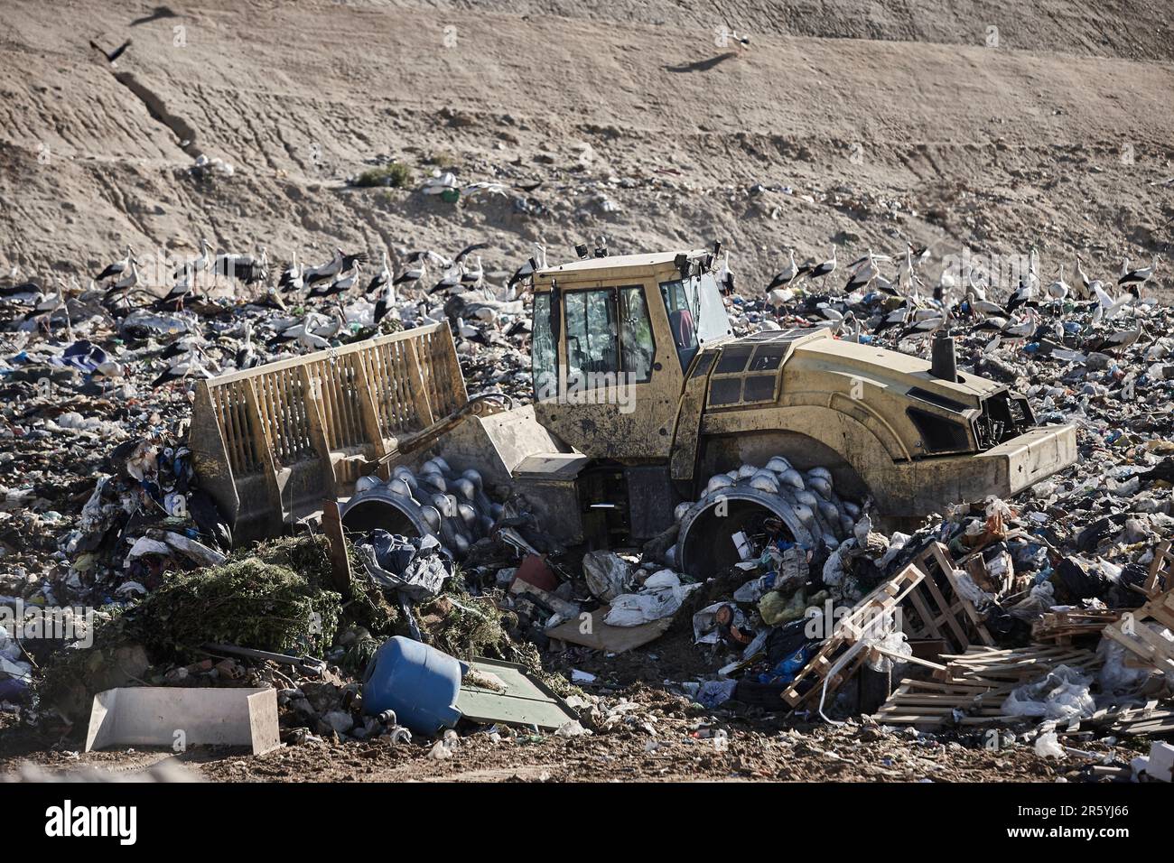 Heavy machinery shredding garbage in an open air landfill. Waste Stock ...