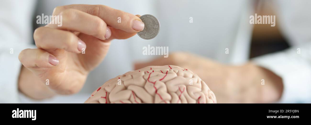 Businesswoman put coin into human brain model Stock Photo - Alamy