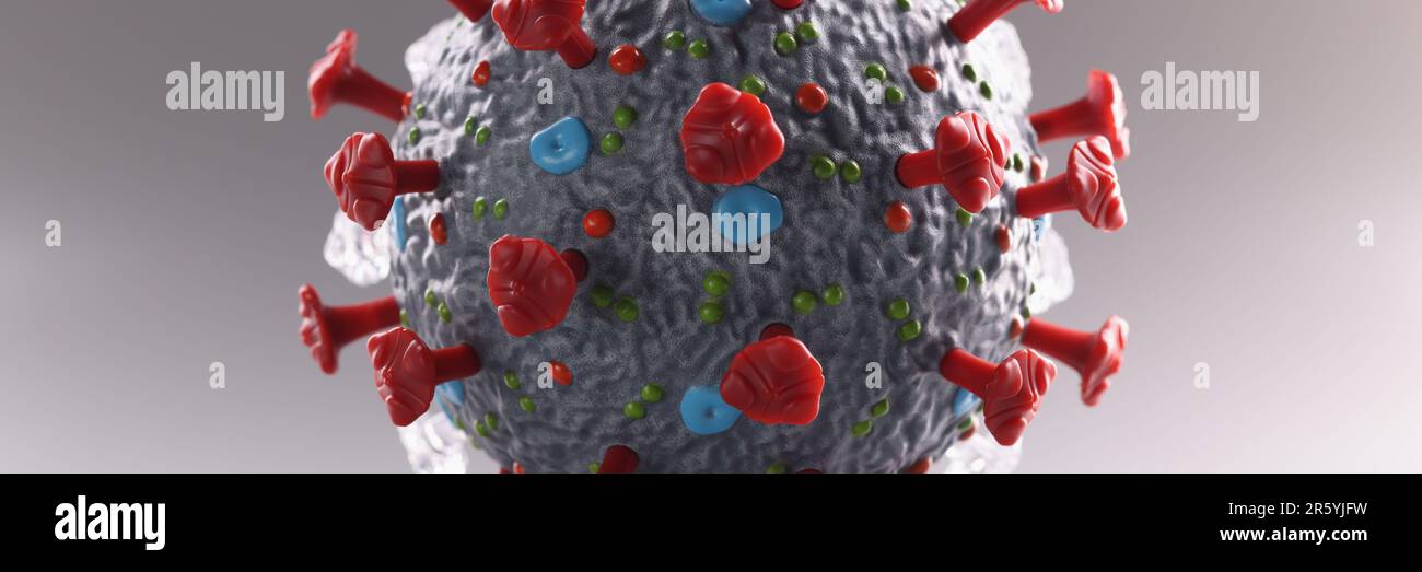 Coronavirus COVID-19 microscopic anatomy virus and disease Stock Photo ...