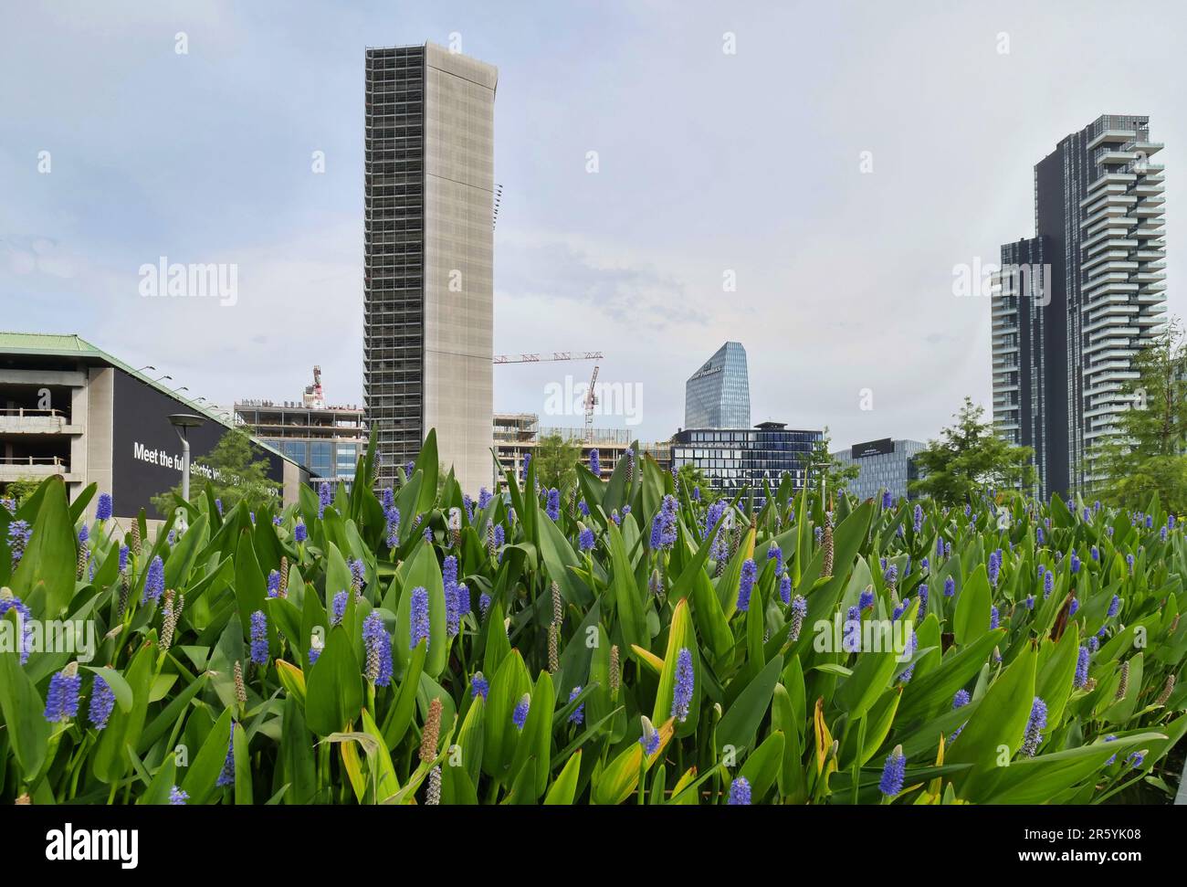 BAM library of trees, new modern park in Porta nuova district, Milan ...