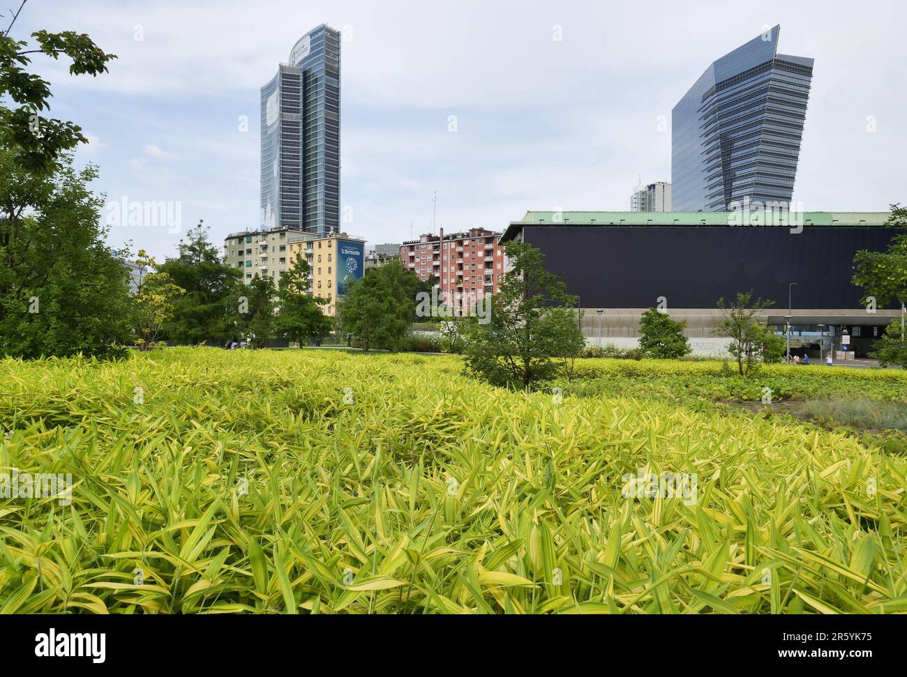 BAM library of trees, new modern park in Porta nuova district, Milan ...