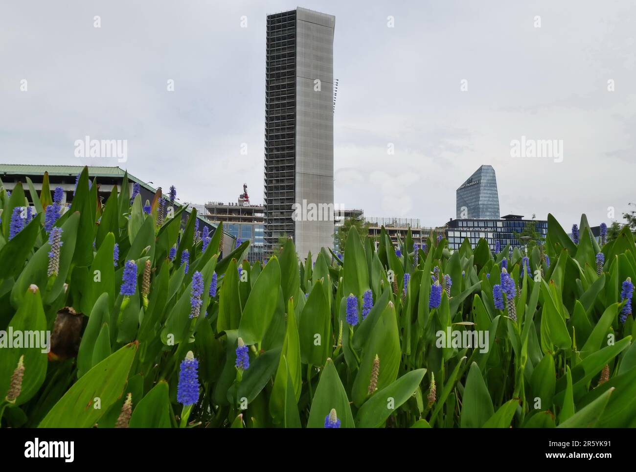 BAM library of trees, new modern park in Porta nuova district, Milan ...