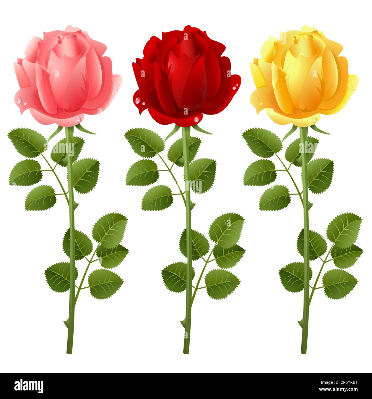 Rose leaf Stock Vector Images - Alamy