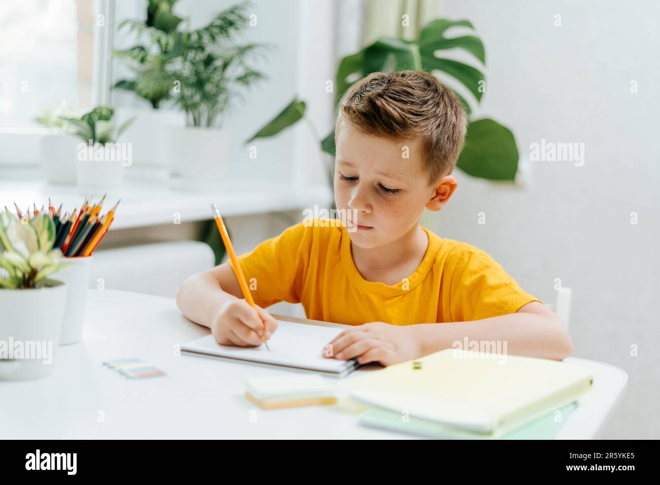 School kid boy studying at home with book, draw in notepad and doing ...