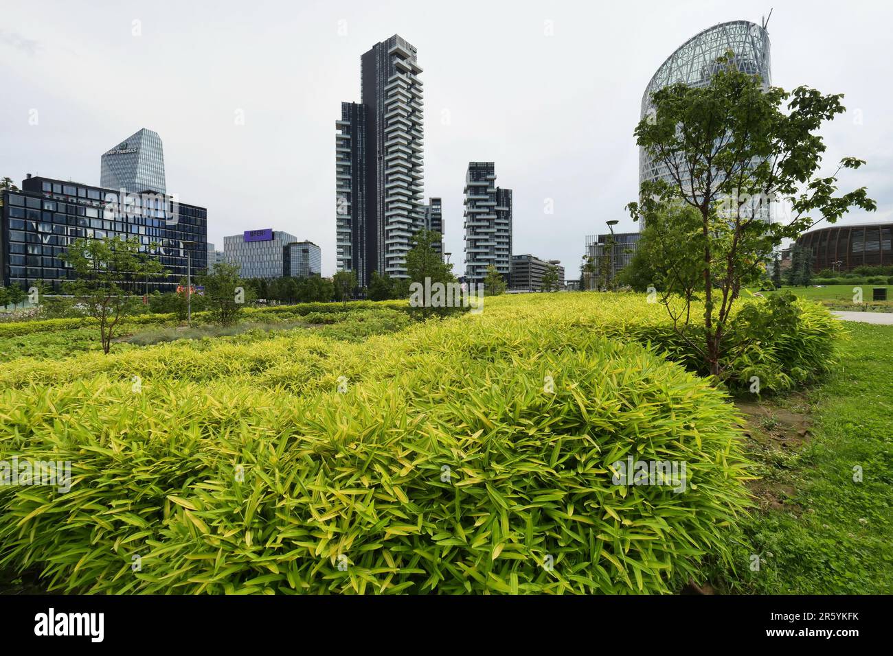 BAM library of trees, new modern park in Porta nuova district, Milan ...
