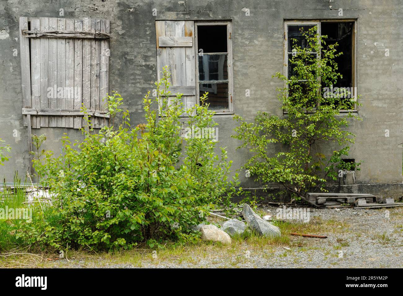 old ruined window in brick wall with green trees Stock Photo - Alamy
