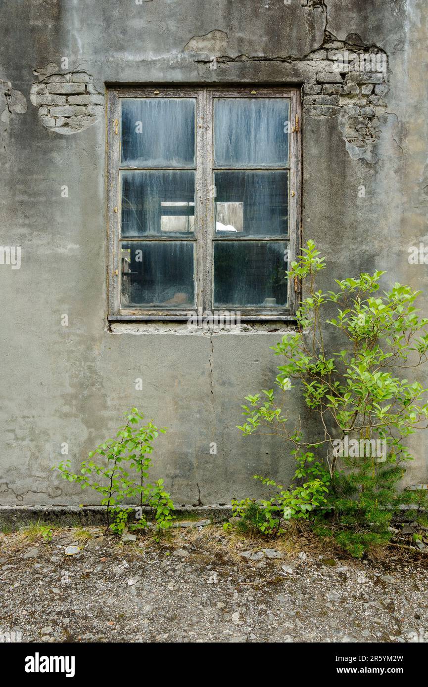 old window in dilapidated brick wall Stock Photo - Alamy