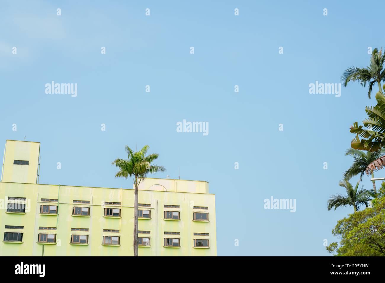 Yellow building and tropical palm tree in Taiwan Stock Photo - Alamy