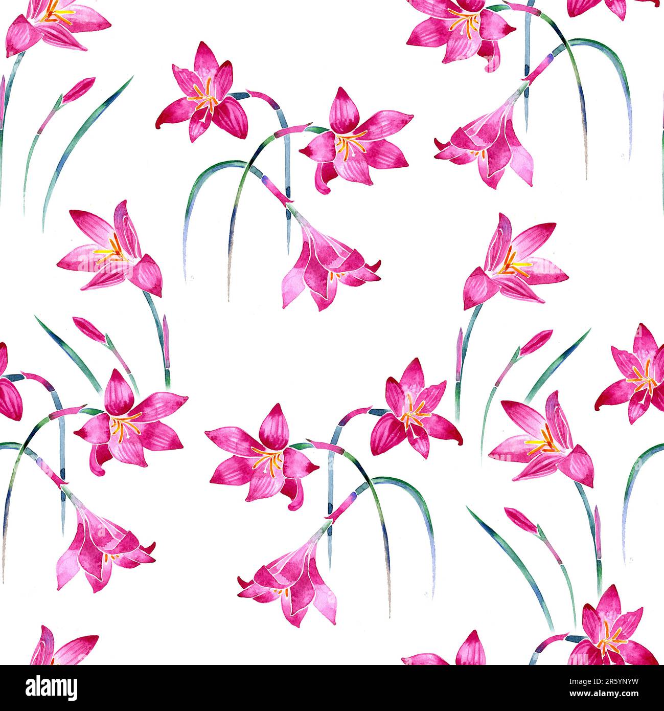 Watercolor Zephyranthes seamless pattern. Floral digital paper Stock ...