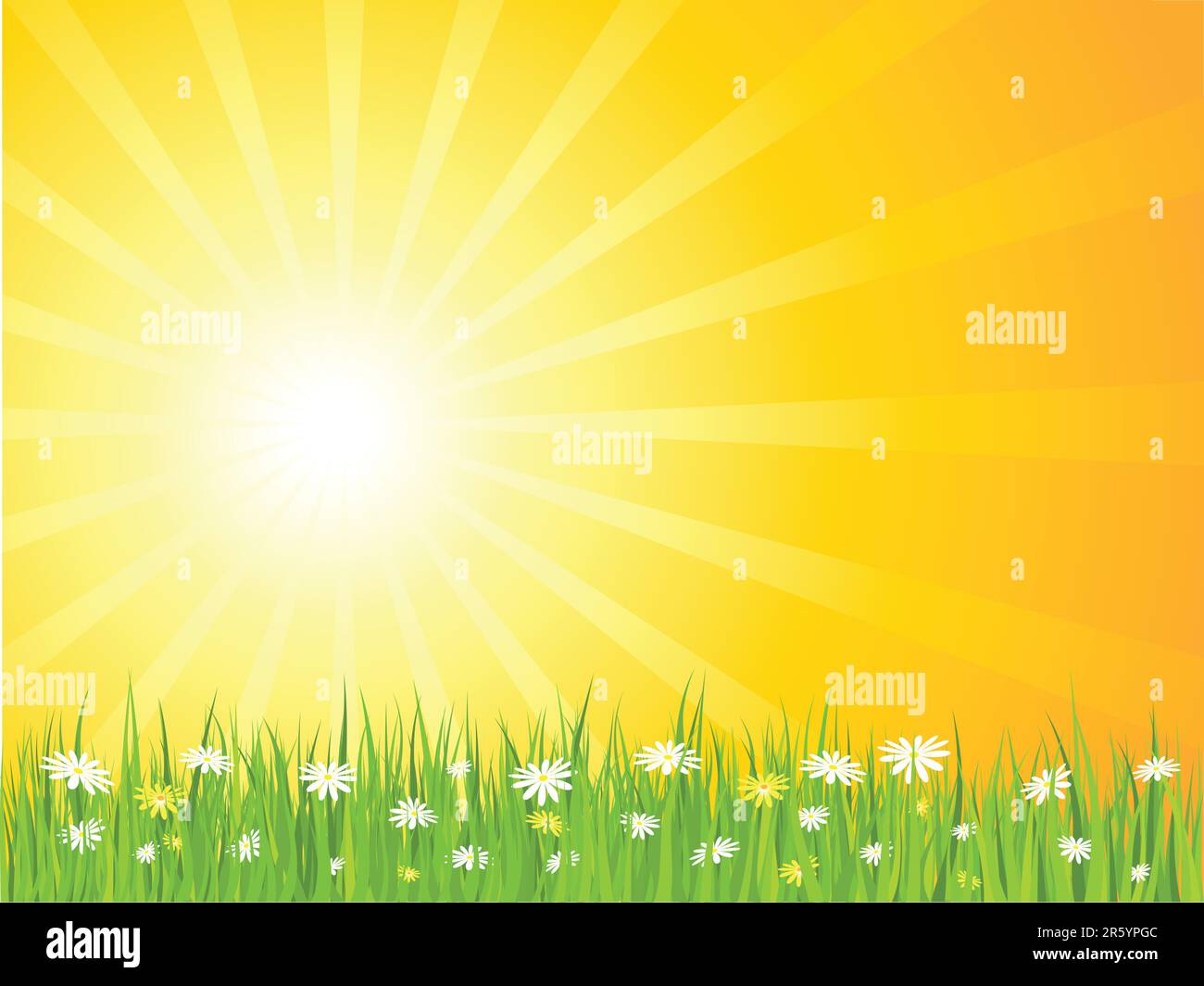 Sunny sky with daisies in grass Stock Vector Image & Art - Alamy