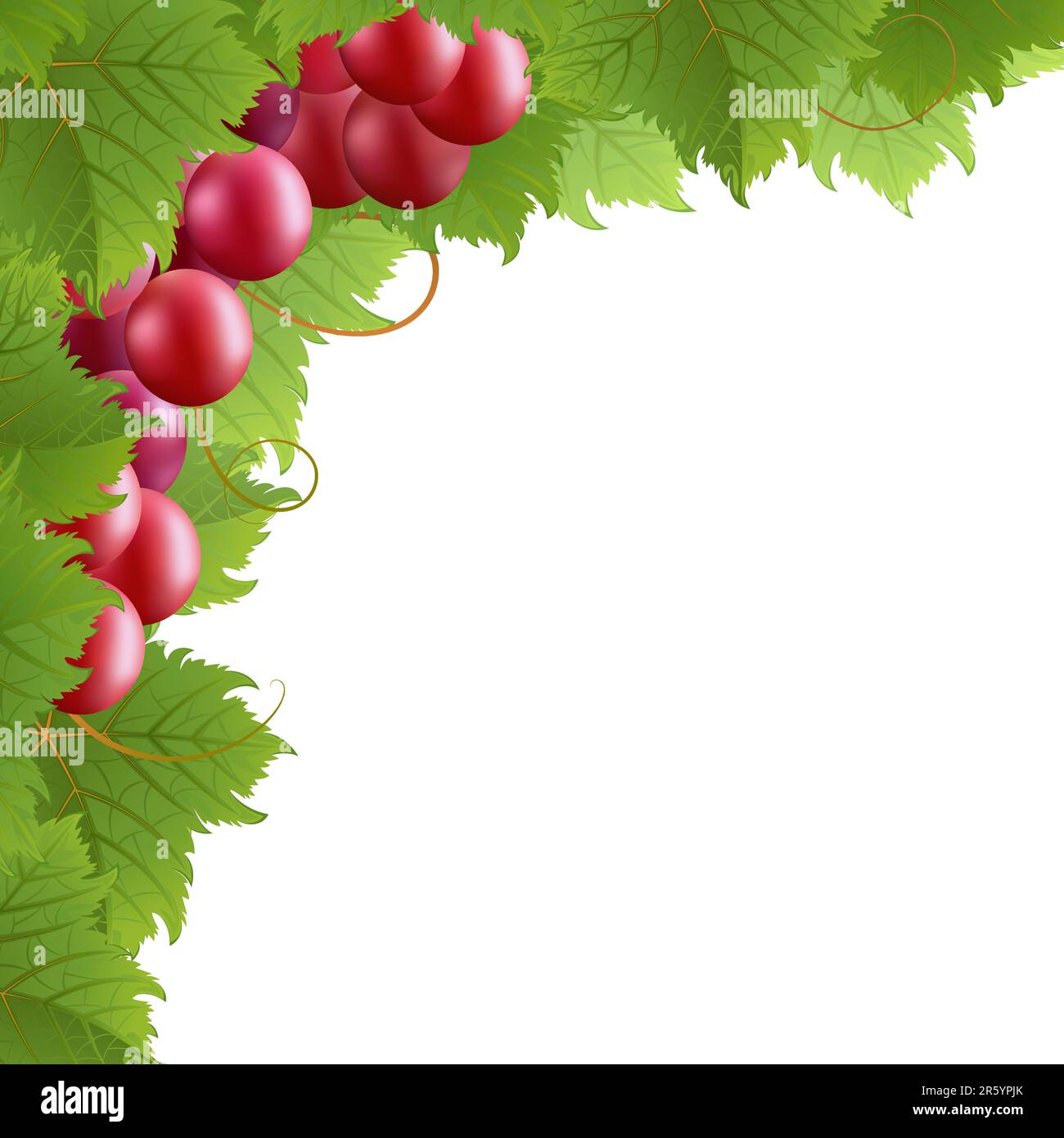Red vine on a white background. Clipping Mask Stock Vector Image & Art ...