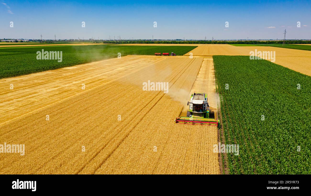 Above front view on agricultural harvester, combine is cutting and ...