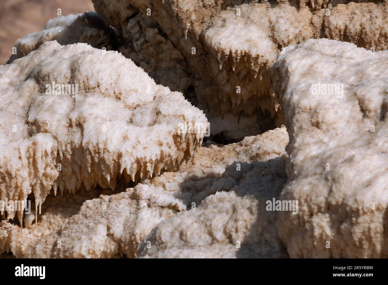 Natural salt stalactites crystals at the Dead Sea, lowest point on ...