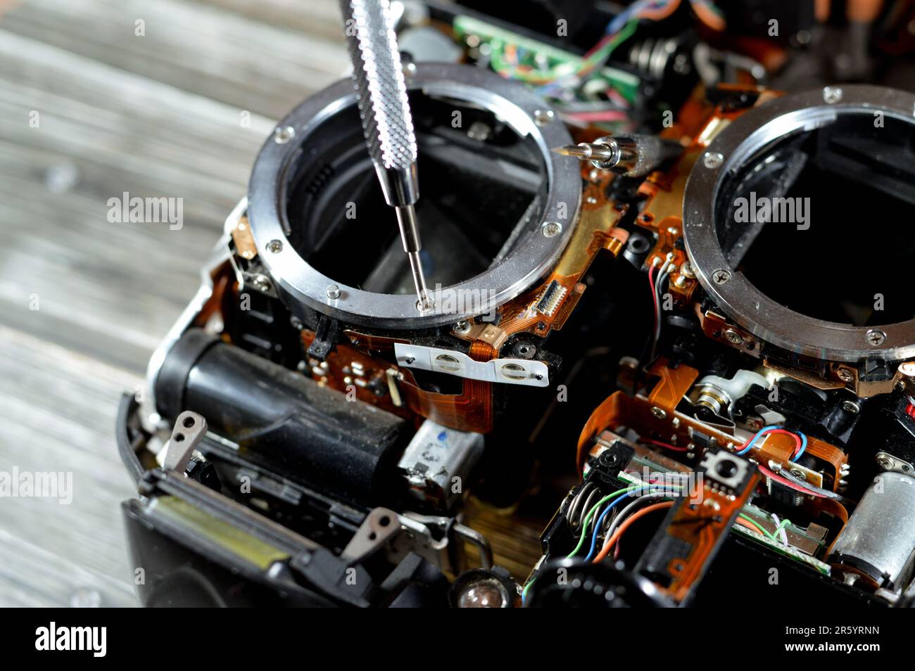 Slr camera bodies hi-res stock photography and images - Alamy