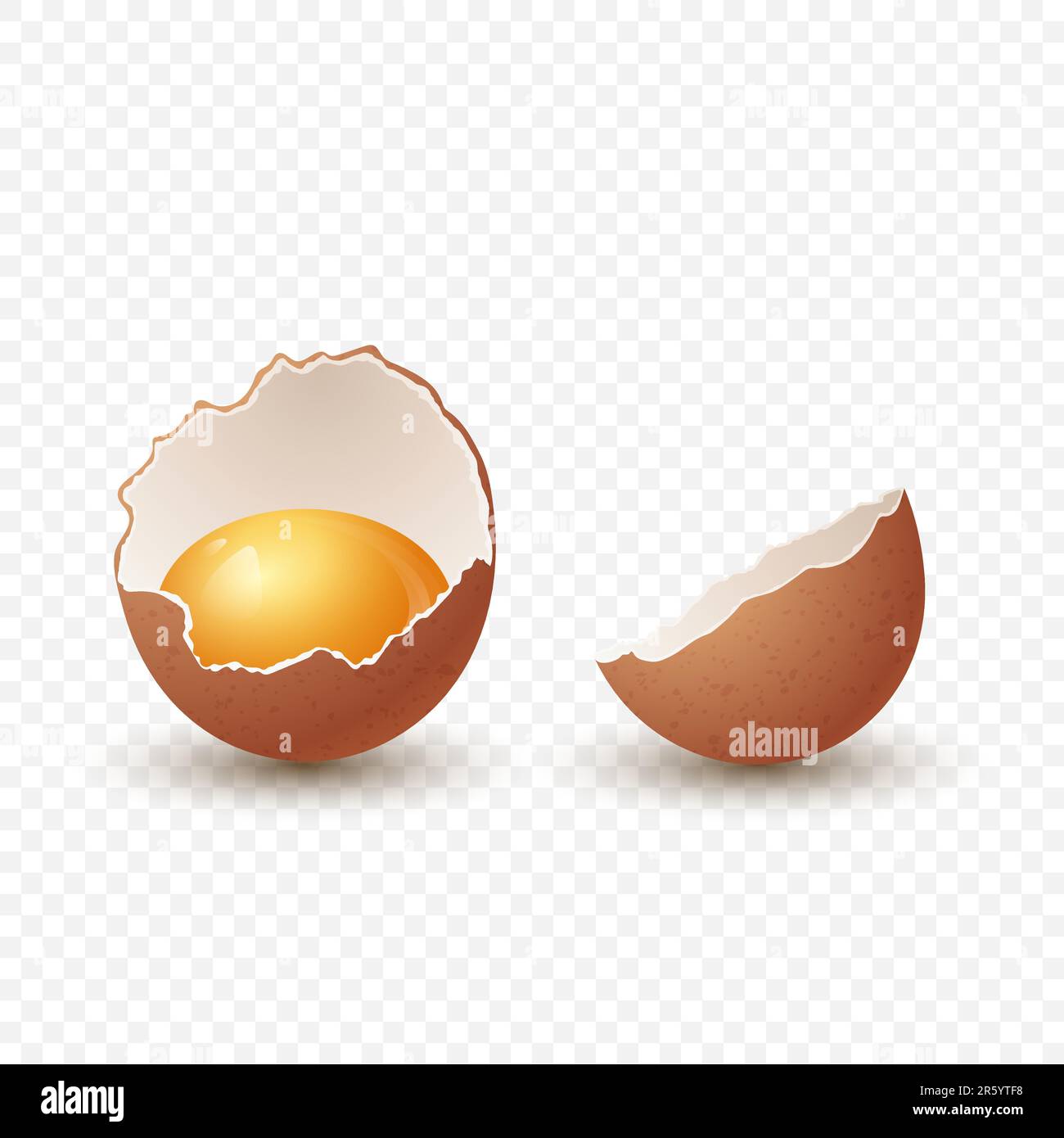Opened easter egg Stock Vector Images - Alamy