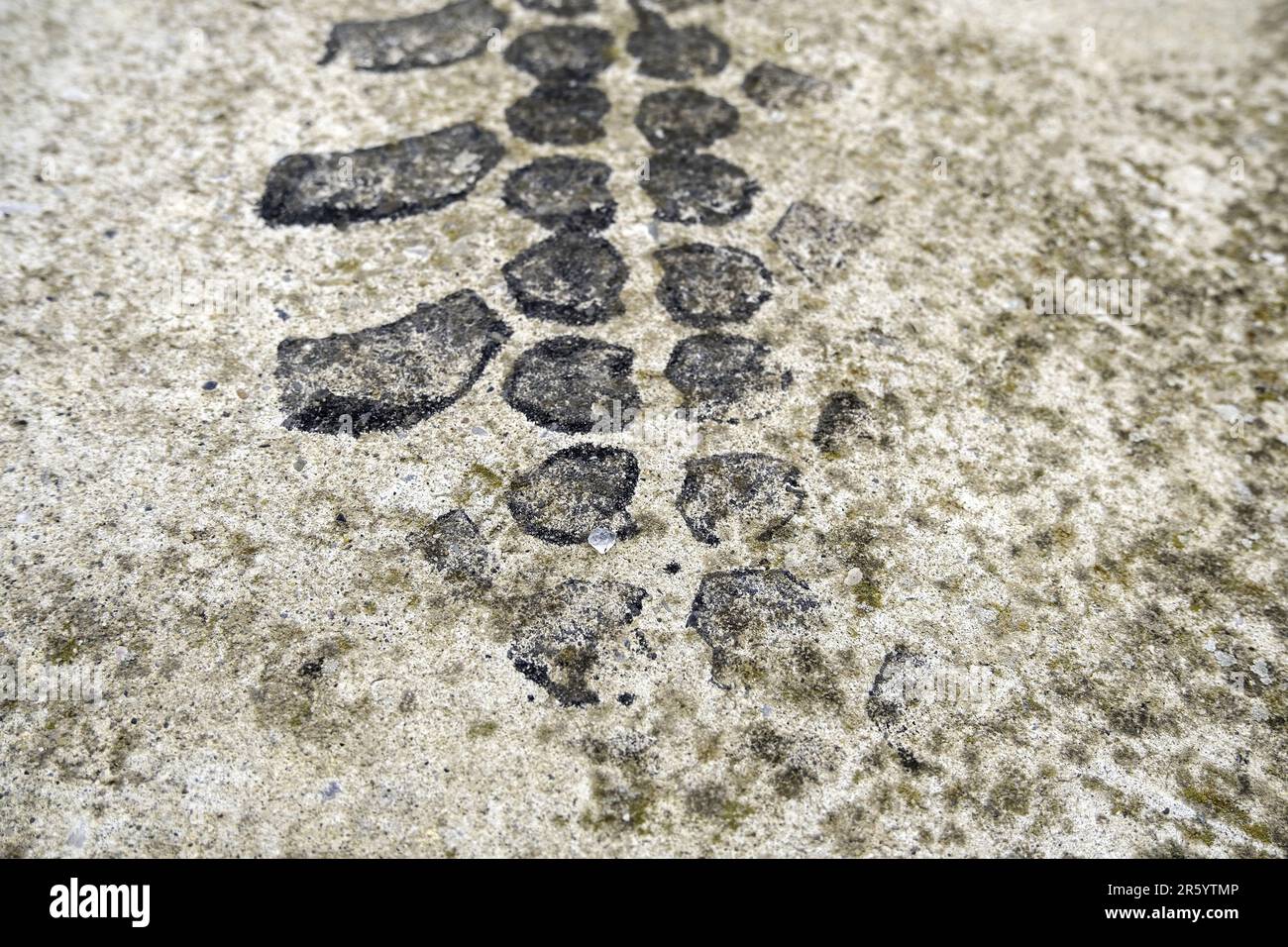 Skid marks accident hi-res stock photography and images - Alamy