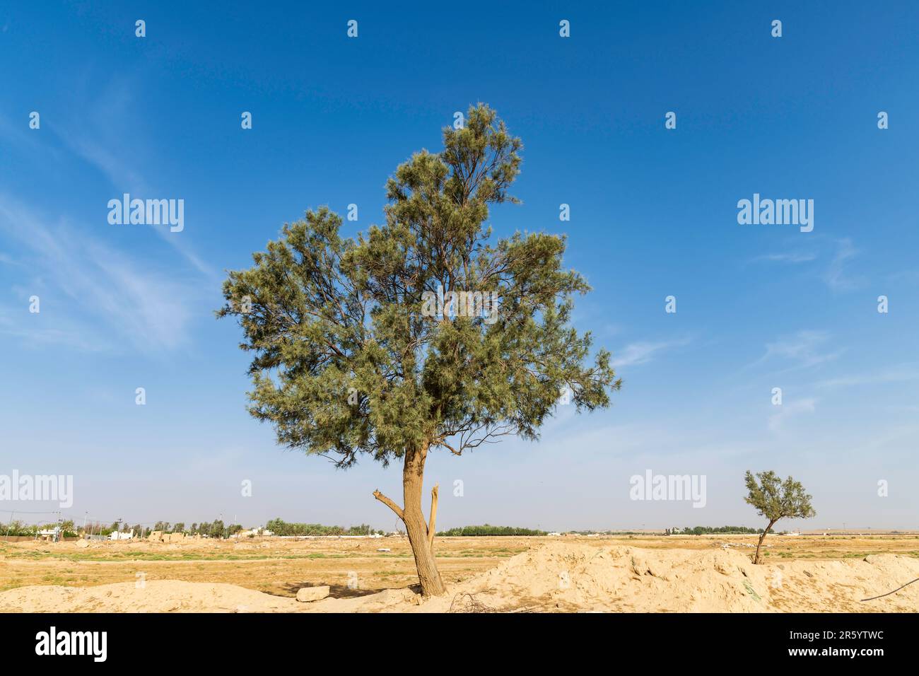 Desert town scene hi-res stock photography and images - Alamy