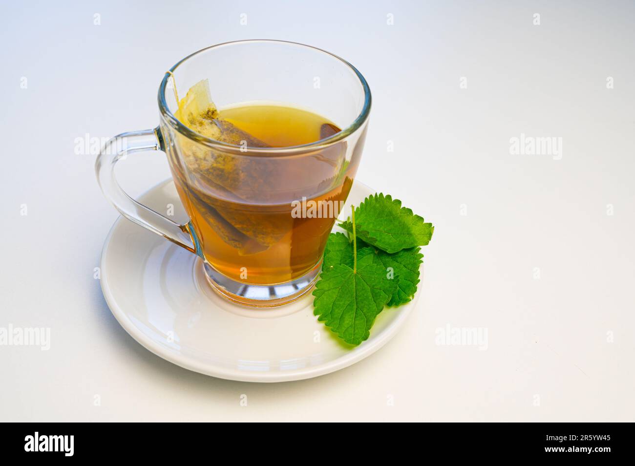 Nettle herbal tea in a transparent cup, with a sachet immersed in water ...