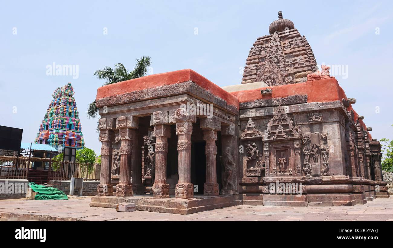 Arca brahma hi-res stock photography and images - Alamy