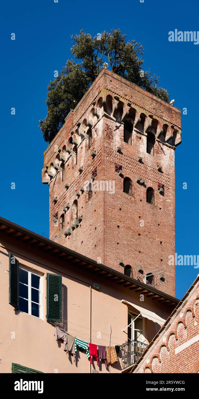 medieval Torre Guinigi tower with trees on its top, Lucca, Tuscany ...