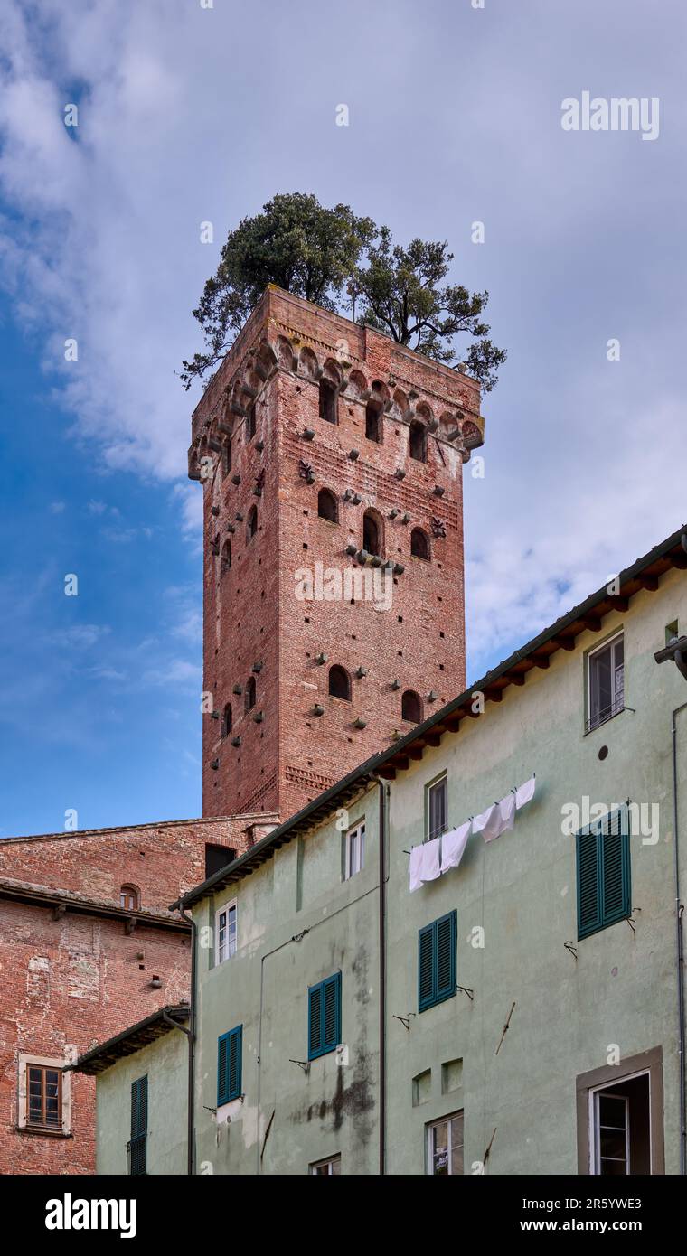 medieval Torre Guinigi tower with trees on its top, Lucca, Tuscany ...
