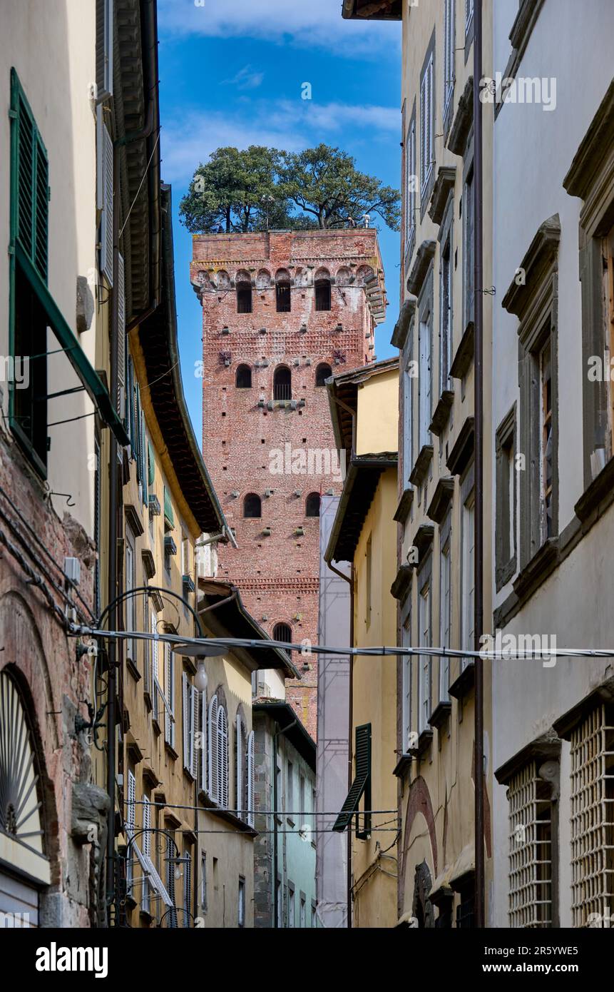medieval Torre Guinigi tower with trees on its top, Lucca, Tuscany ...