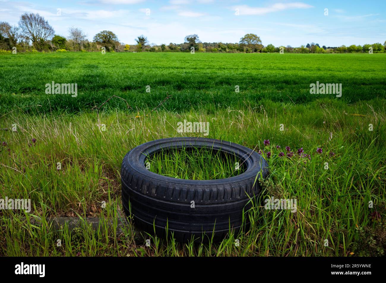 Fly-tipped rubber tyre Stock Photo - Alamy