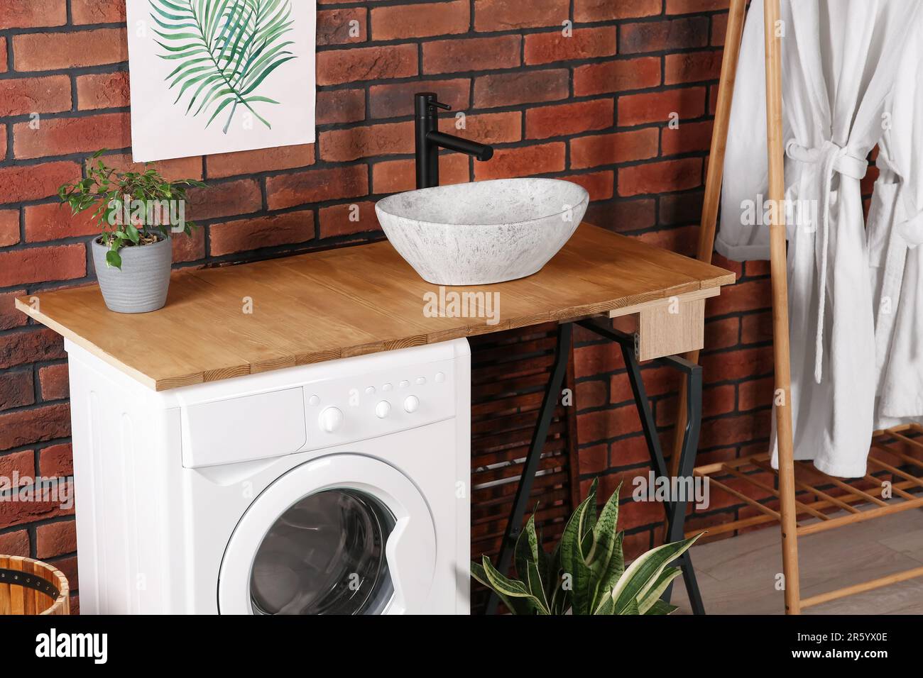 Washing machine, sink and potted plants indoors. Laundry room interior ...