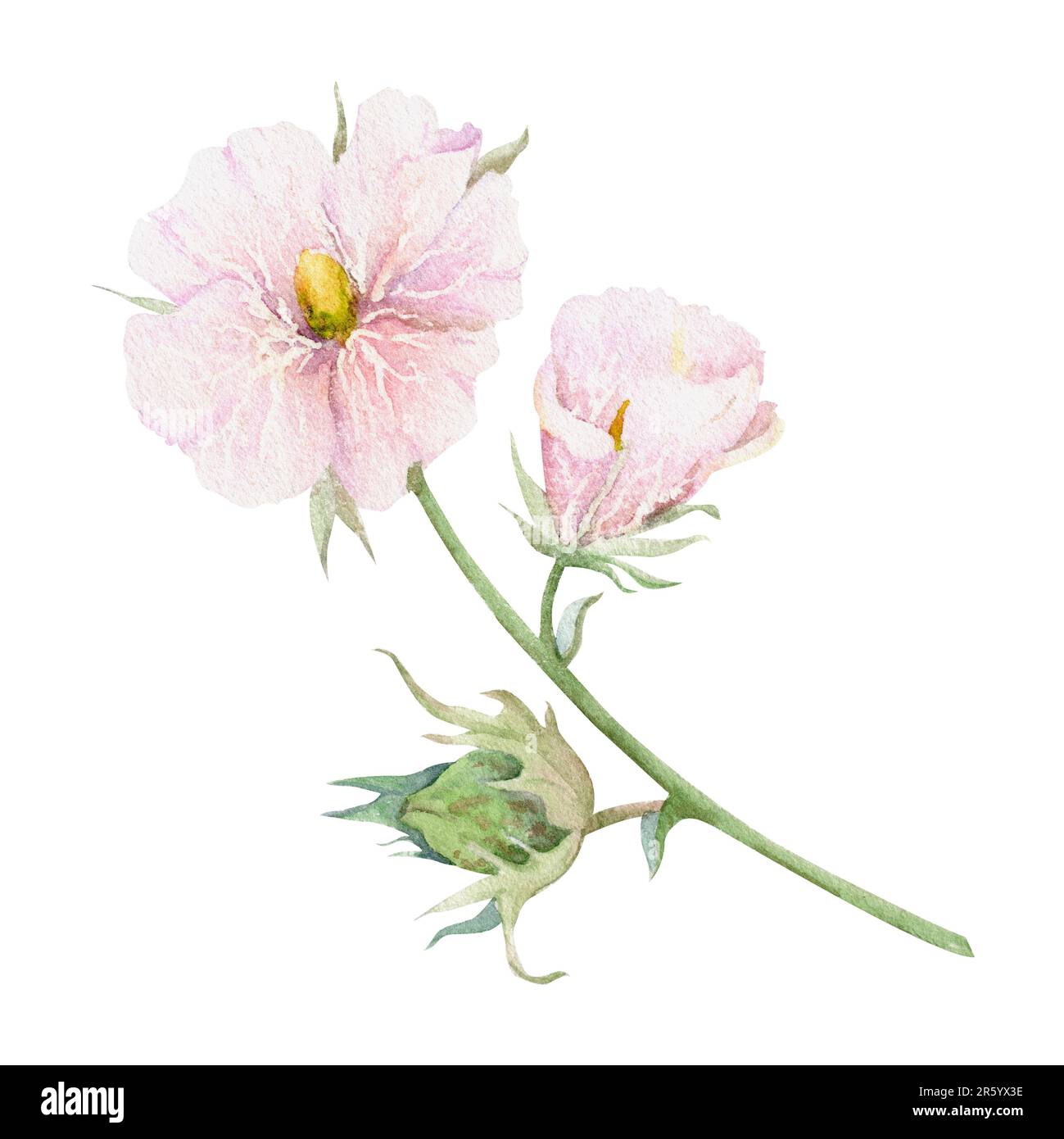 Set flower shop hand Cut Out Stock Images & Pictures - Alamy