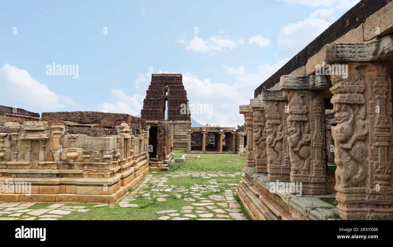Carved Pillars and Ruin Campus of Ranganayakula Temple, Udayagiri ...