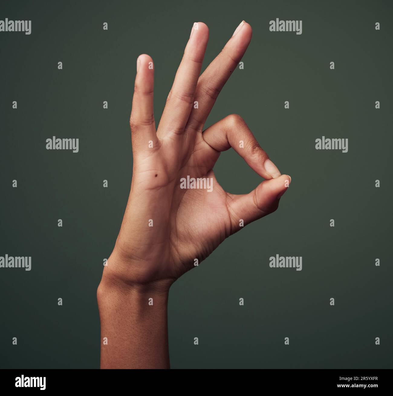 Person hand, OK gesture and emoji with agreement, approval and feedback ...