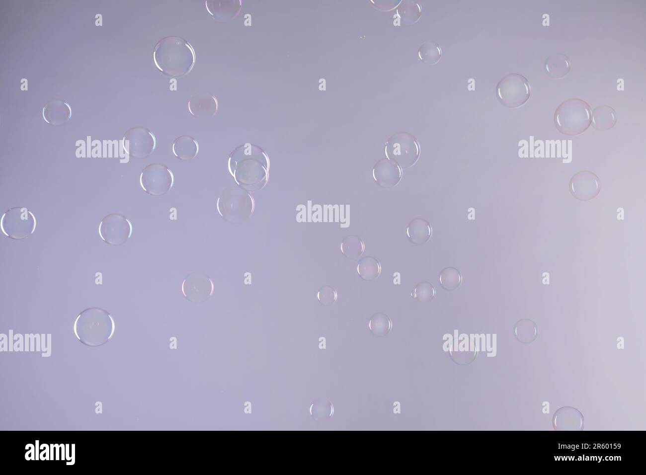 Many beautiful soap bubbles on light grey background Stock Photo - Alamy