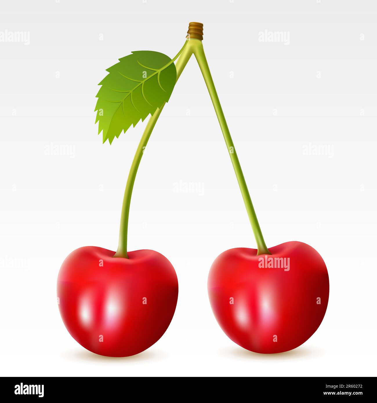 Two on a leaf Stock Vector Images - Alamy