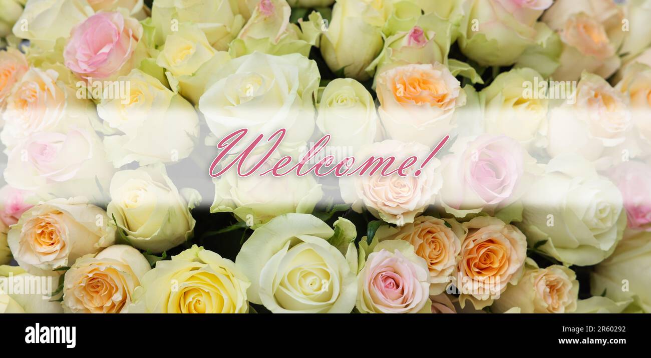 Welcome card. Bouquet of beautiful roses and word, closeup. Banner ...