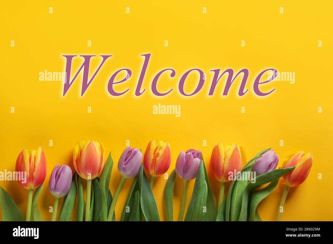 Welcome home card with flowers hi-res stock photography and images - Alamy