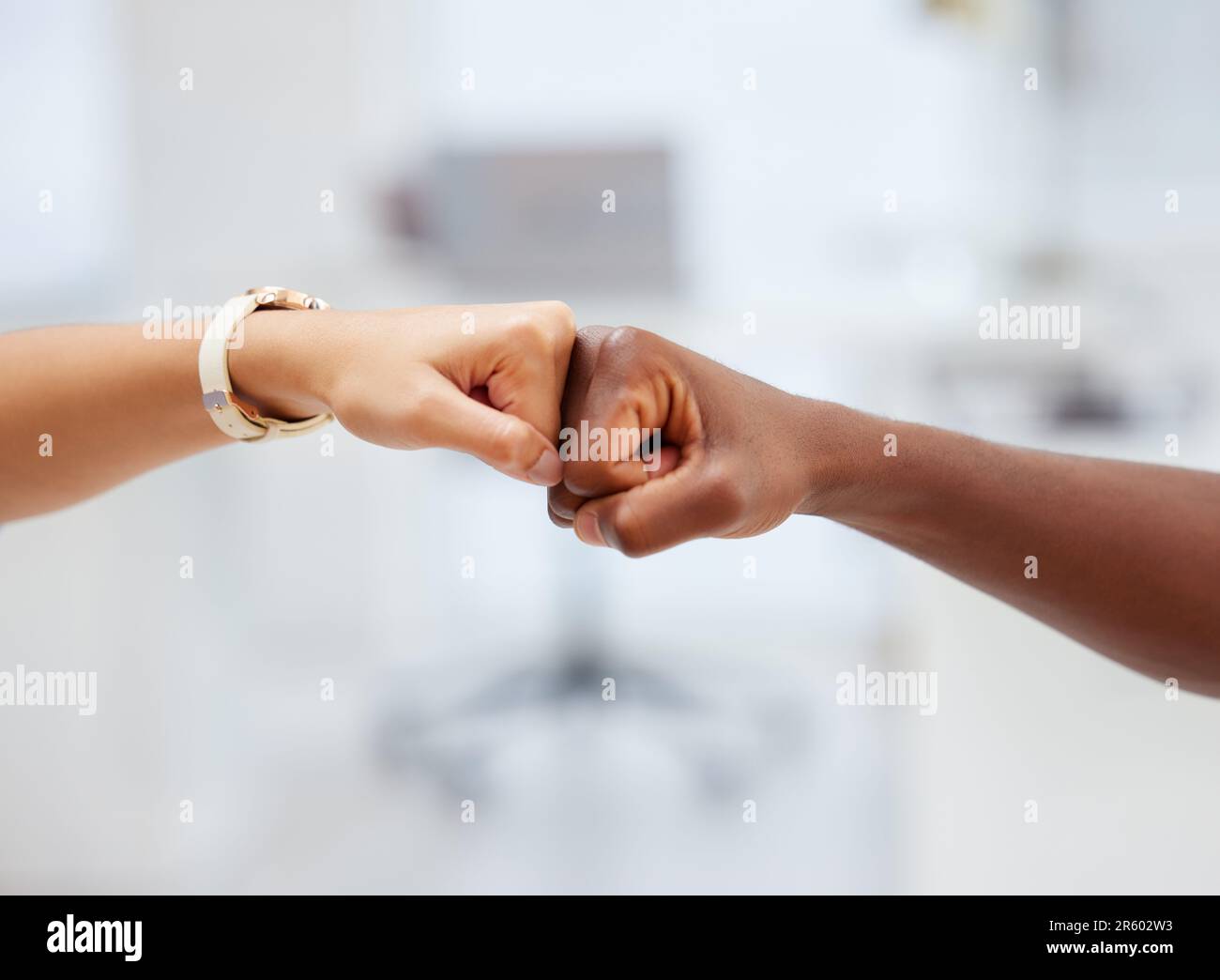 Closeup of people, hands and fist bump for success, winning teamwork ...
