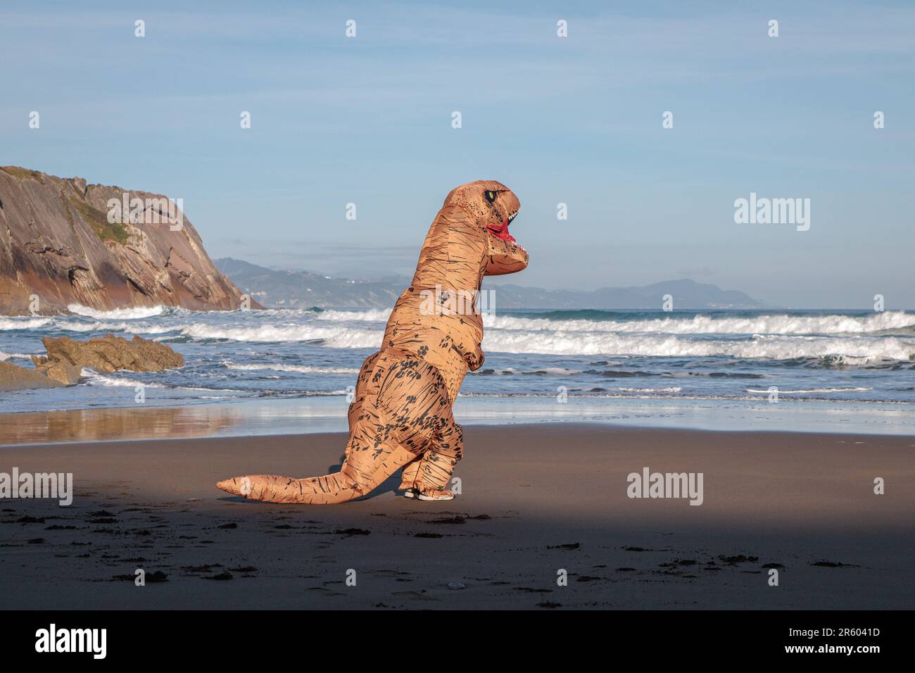 T-rex on the ocean beach in Zumaia, Spain. Dinosaur next to sea Stock ...