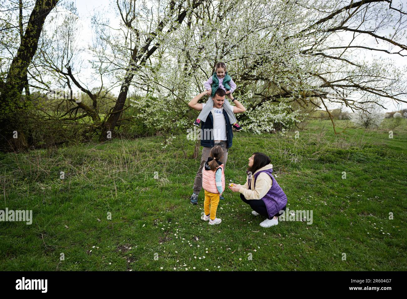 Family with two daughters in spring meadow on the background of a ...