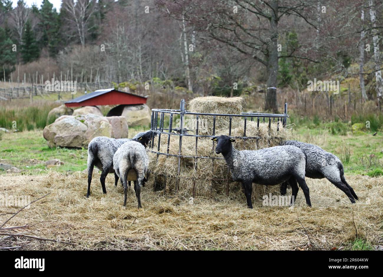 Host farm hi-res stock photography and images - Alamy