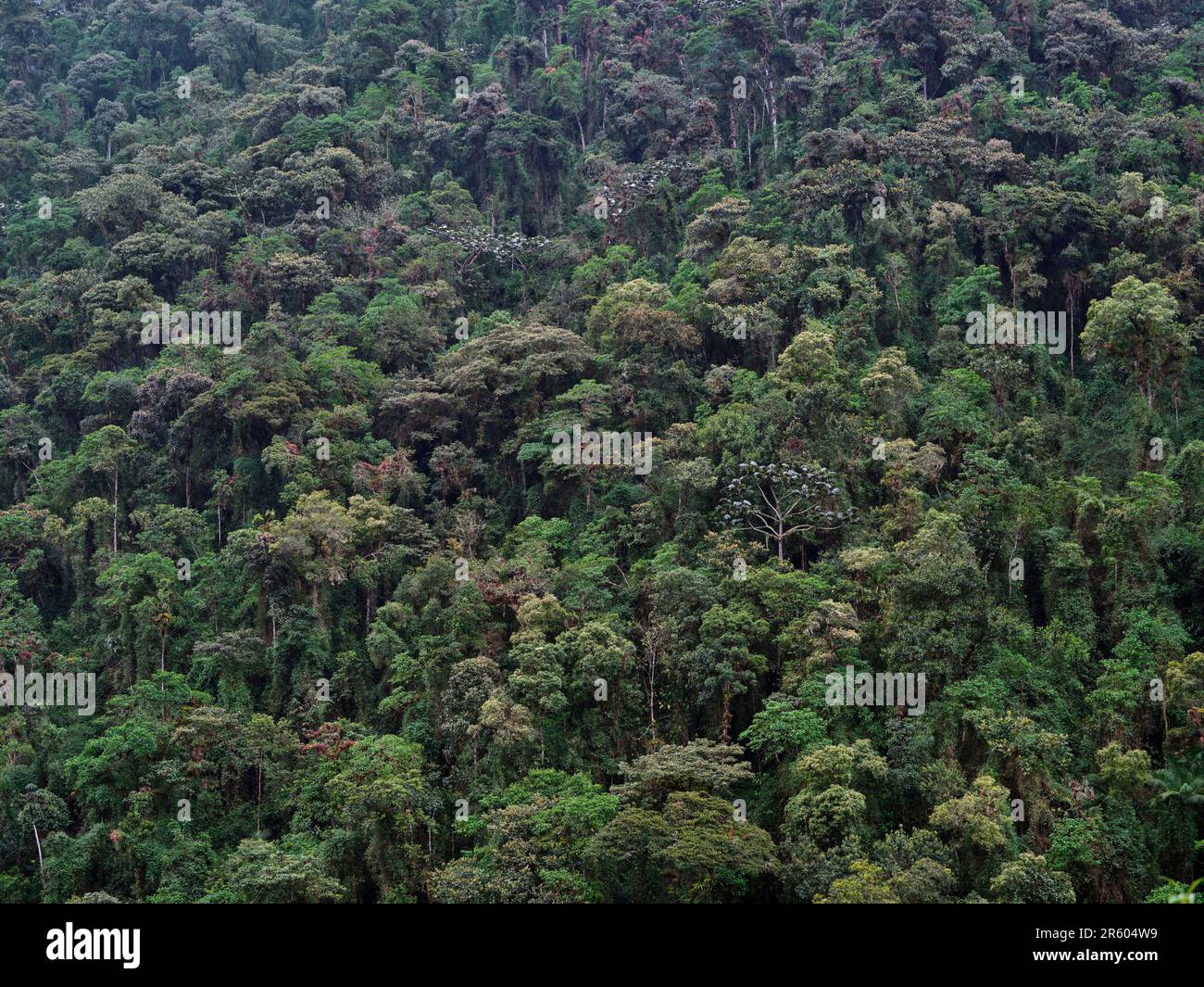 Altitude cloud hi-res stock photography and images - Alamy