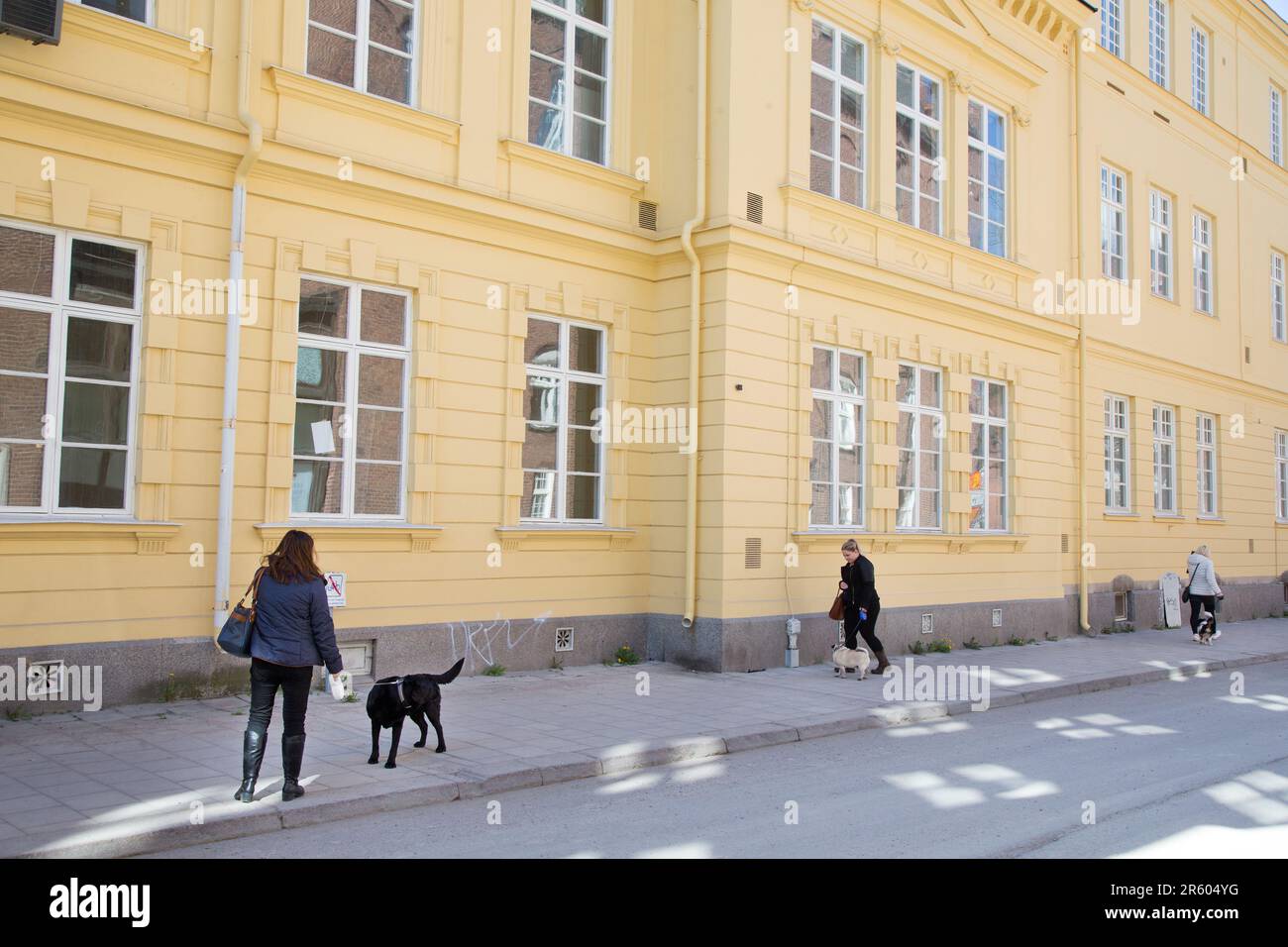 Daily life, dogs and their owners on a street, Linköping, Sweden Stock ...