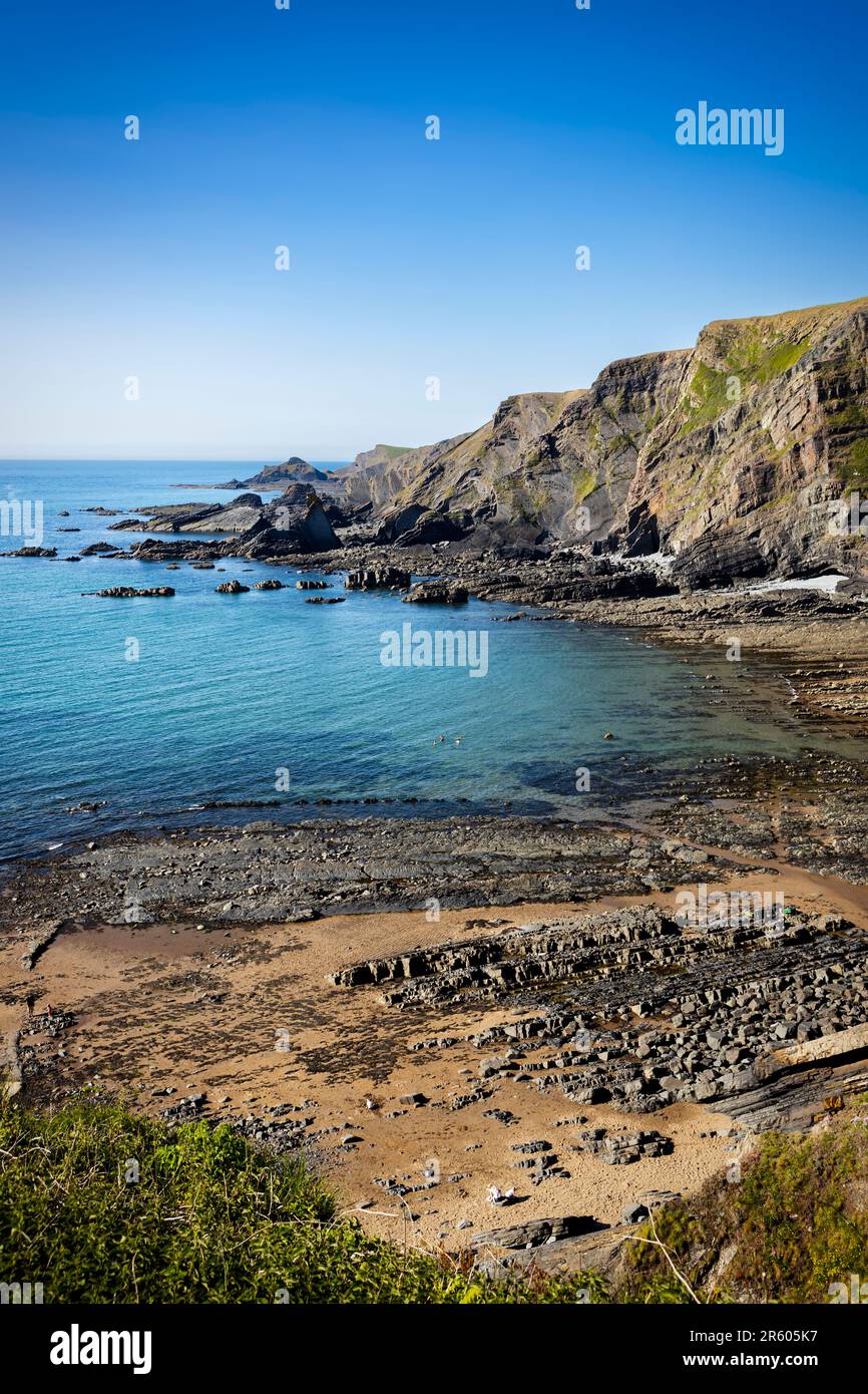 Hartland Quay beach on a Summer's day with bright blue sky, Devon, Uk ...