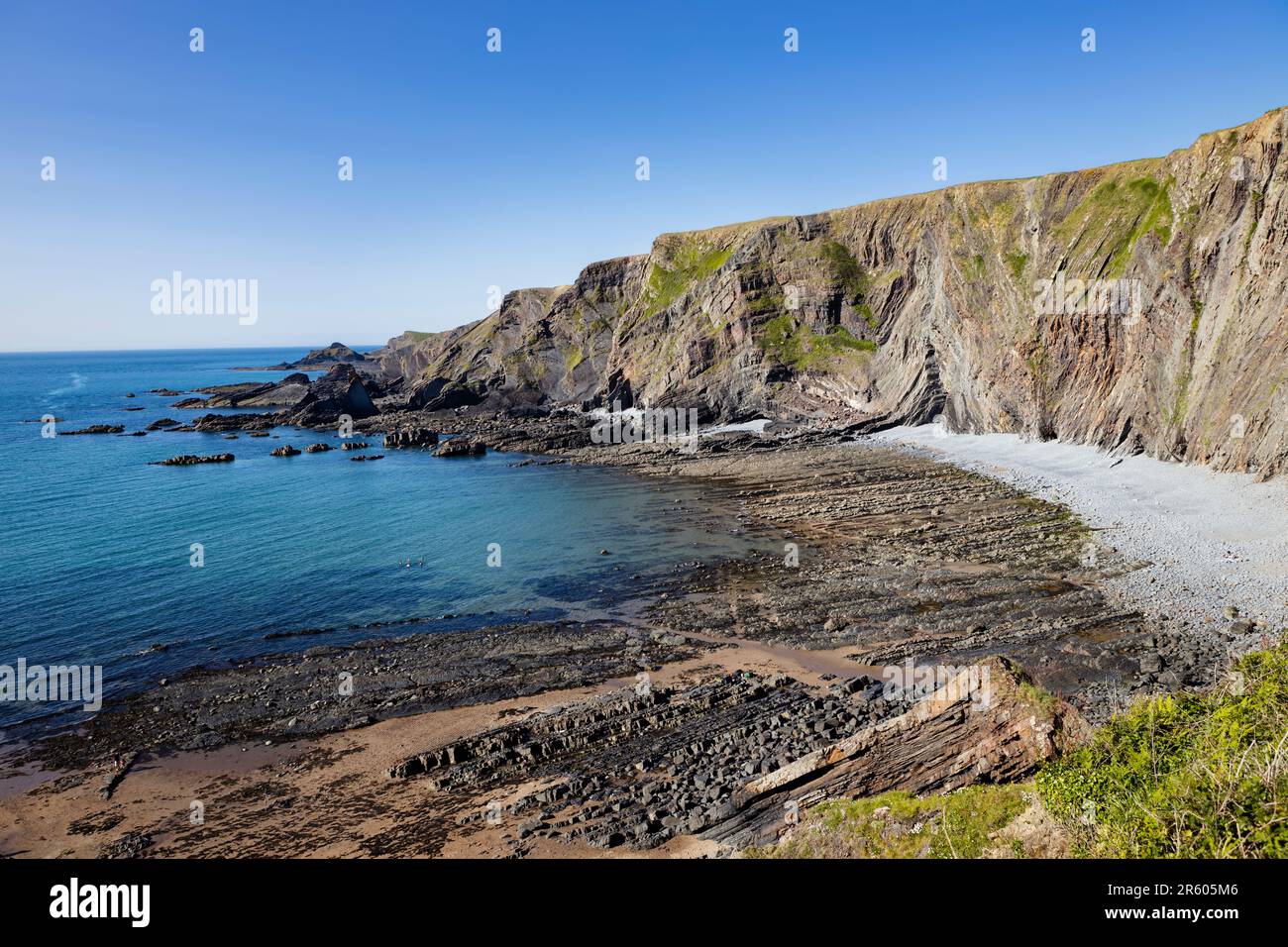 Devon south west coast path hi-res stock photography and images - Alamy