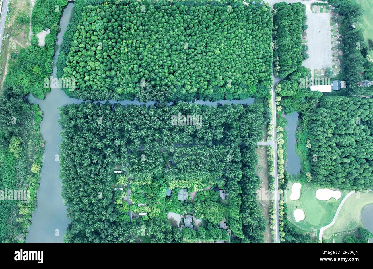 Aerial photo shows the summer scenery of Guazhou wetland park in ...