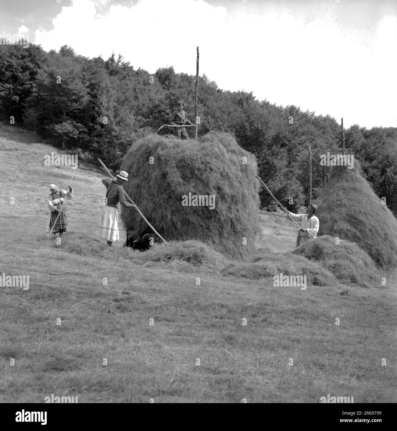 Traditional haystack Black and White Stock Photos & Images - Alamy